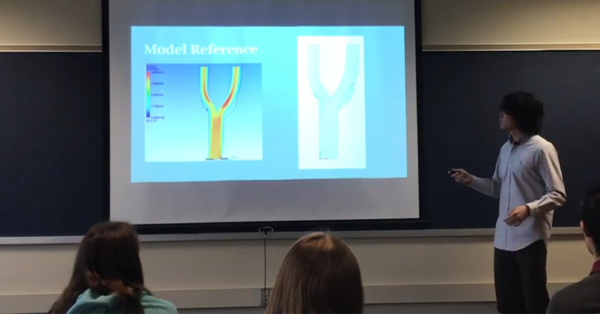 High School Student Achieves Perfect Score on AP Capstone Project with ...