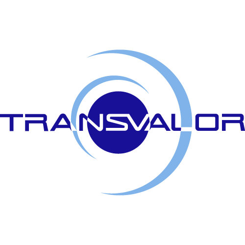 Transvalor | Ansys Technology Partner