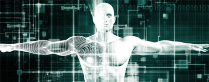 Overview of the Regulatory Pathway for In Silico Testing of Medical ...