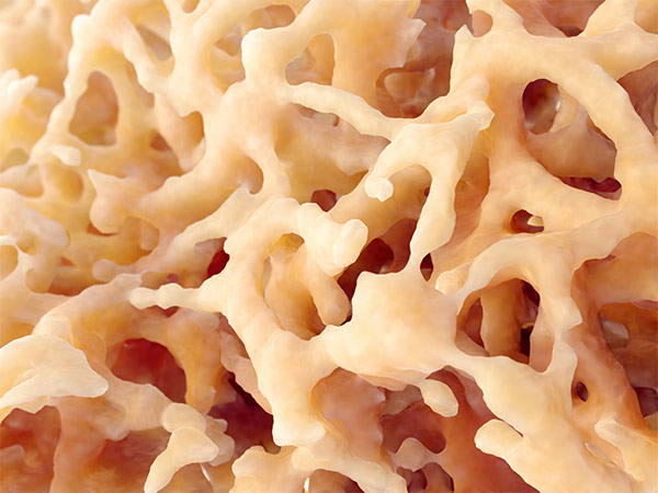 Are Bones Stronger than Steel?