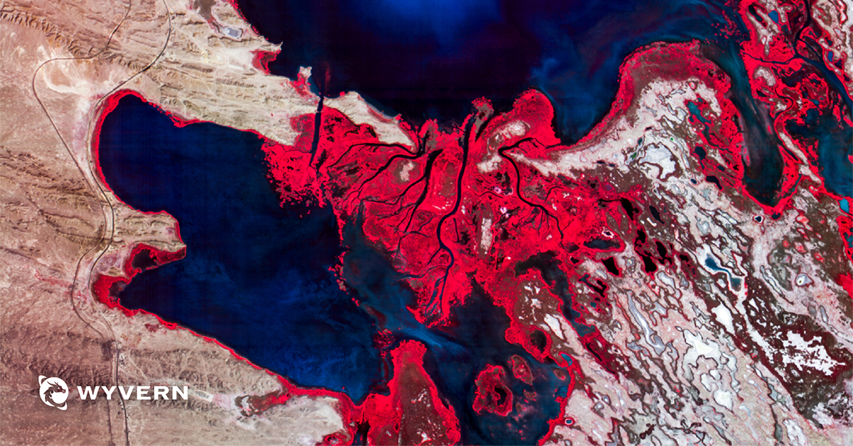 How Wyvern Is Creating a Better Earth From Space