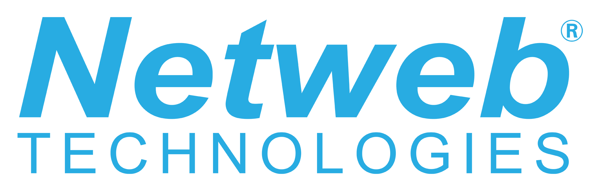 Netweb Technologies India Ltd | Ansys Technology Partner