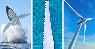 Whale-inspired Wind Turbines with Ansys | Education Resource
